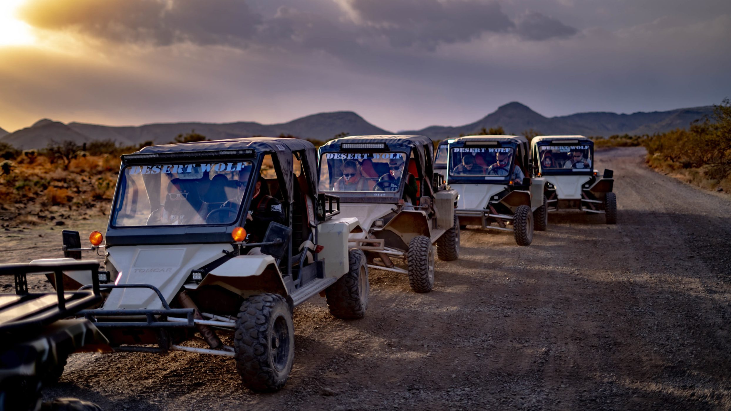 What's Tomcar ATV | Desert Wolf Tours–Arizona’s #1 Off-Road Adventure