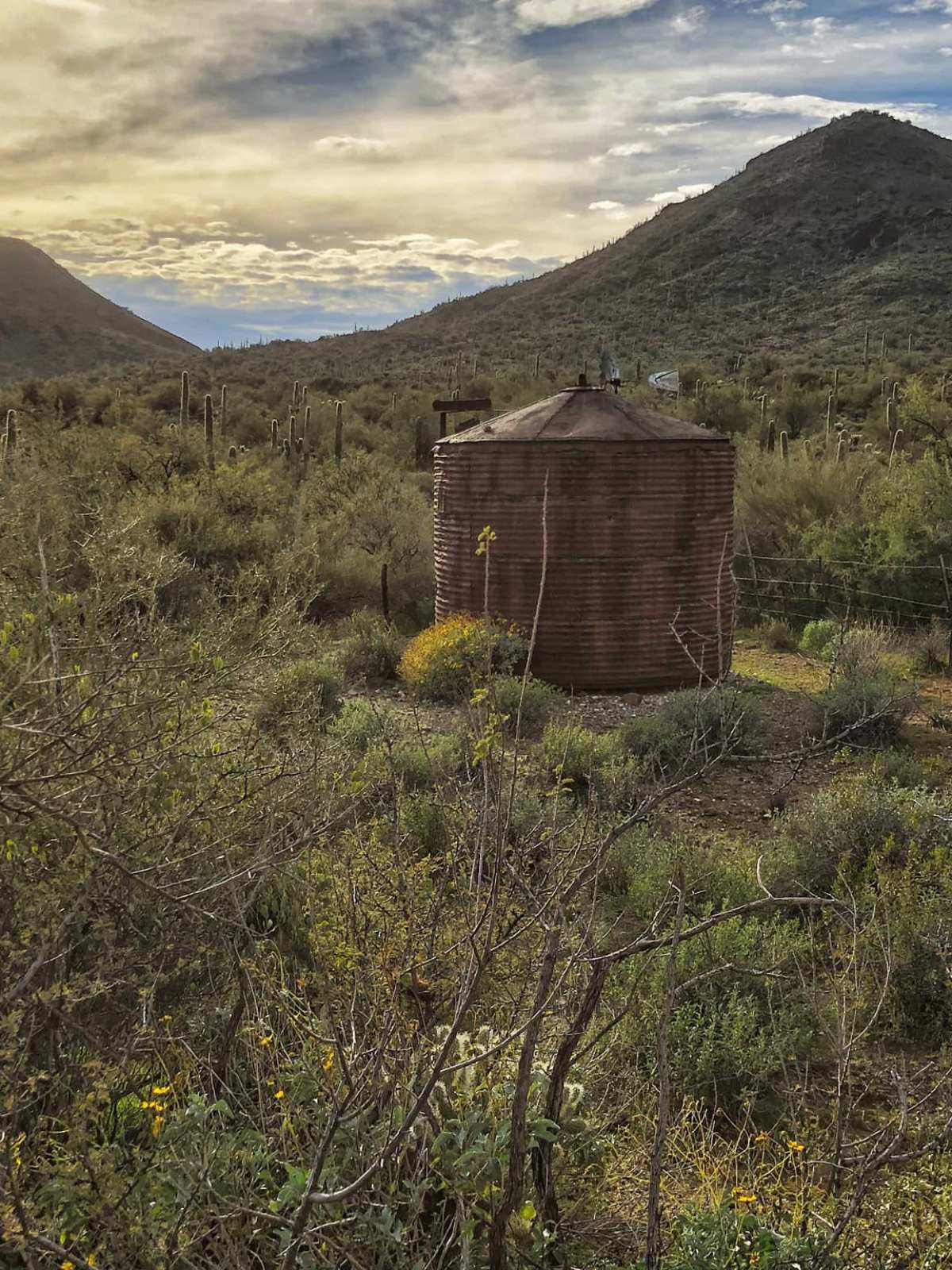 Desert Wolf Tours | ATV Tours & Adventures in Phoenix and Scottsdale, AZ